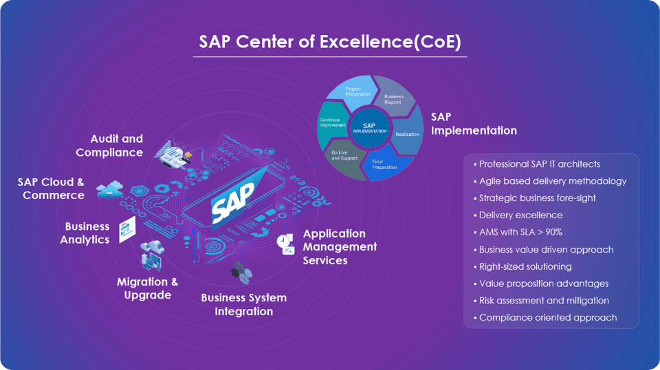 SAP Technology Services